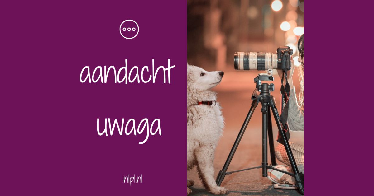 De aandacht vestigen op de Poolse taal. | Woordenboek Nederlands - Pools